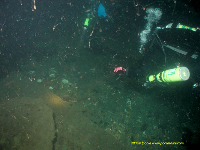 My dive team... - PNW HH & Dive - Cove 2 in Seattle, WA - Gallery ...
