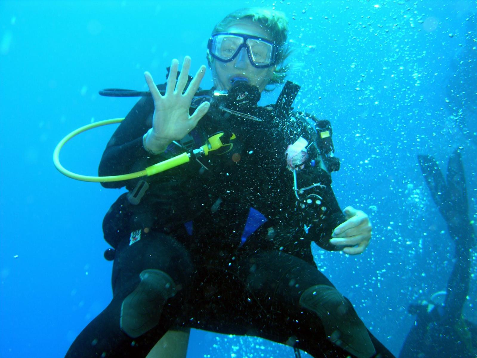 Laura Fish - Red Sea - Gallery - SingleDivers.com Surface Interval INDEX