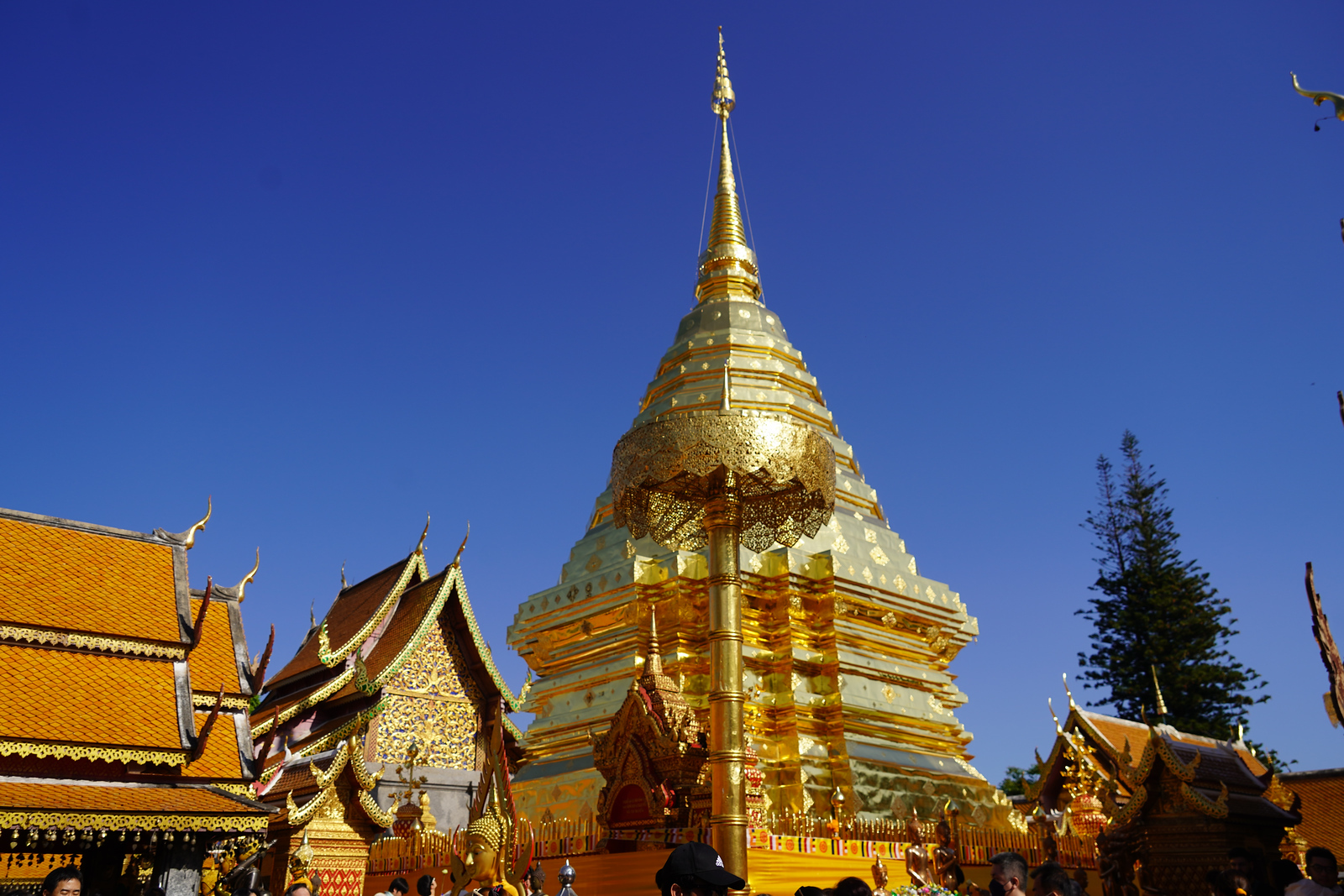 Chiang Mai - Special Projects Galleries - Gallery - SingleDivers.com ...